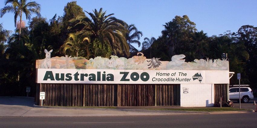 Zoos In Australia: Explore Wildlife And Conservation Efforts - TripXL