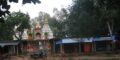 Kali Temples In Kolkata: Discover Kolkata's Sacred Sites - TripXL