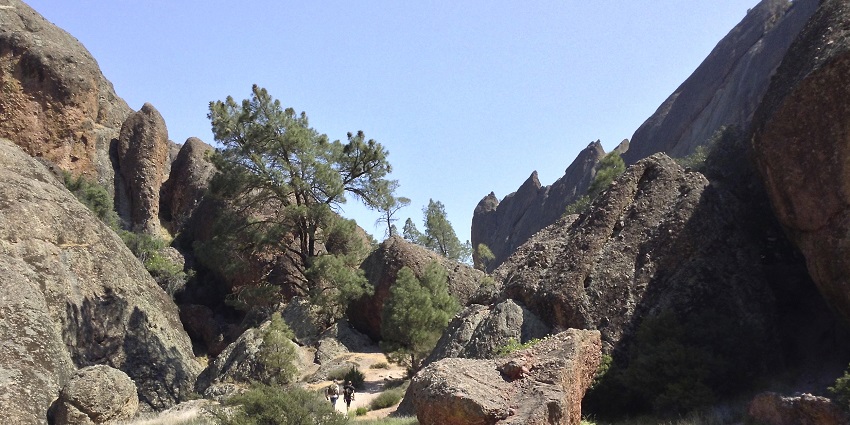 Pinnacles National Park USA: California’s Unique Rock Formations - TripXL