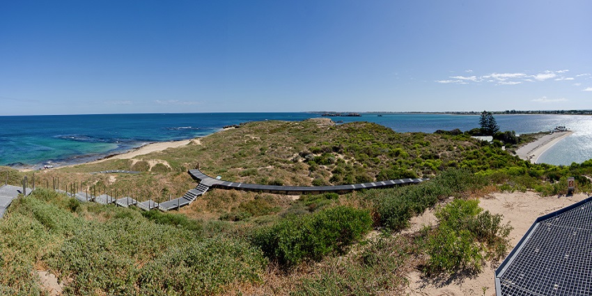 Discover Penguin Island: Wildlife, Beaches, And Nature - TripXL