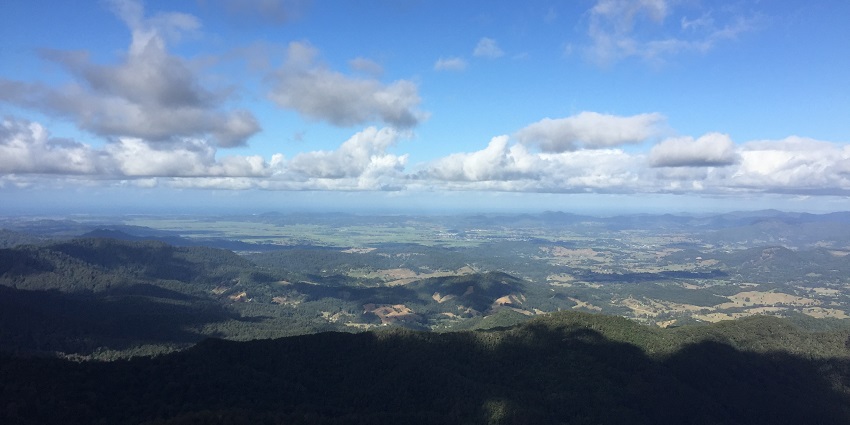 Springbrook National Park: The Ultimate Traveller’s Guide - TripXL