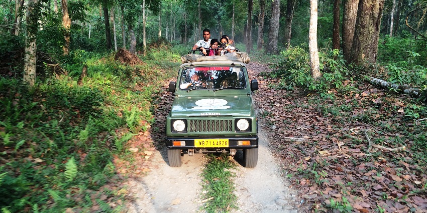 Gorumara National Park Dooars: A Nature Lover’s Paradise - TripXL