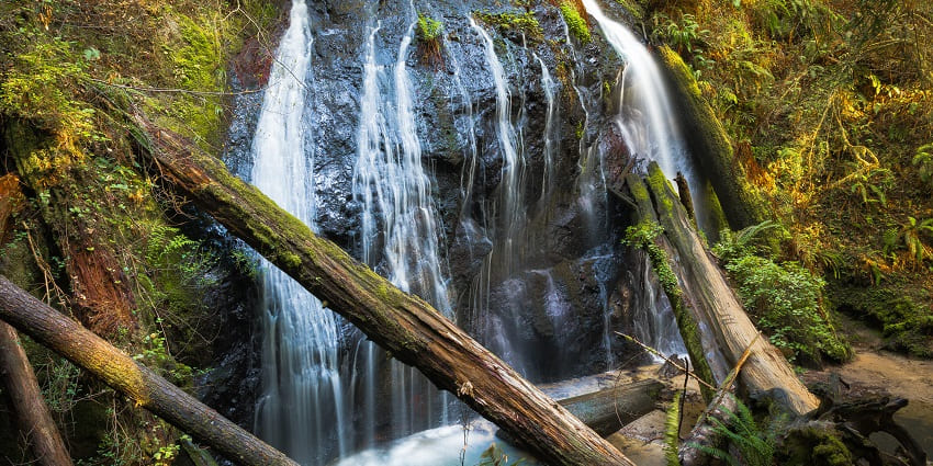 Trekking In Mukteshwar: A Scenic Adventure At Kumaon Hills - TripXL