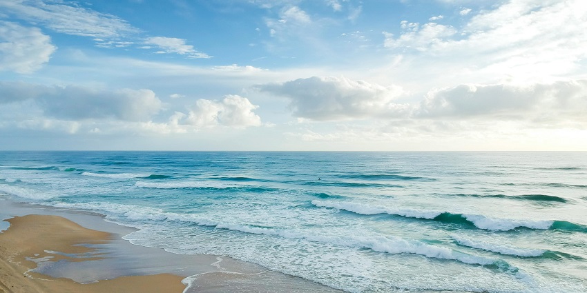 Beaches In Amsterdam: Explore The Stunning Beaches Of Netherlands - TripXL