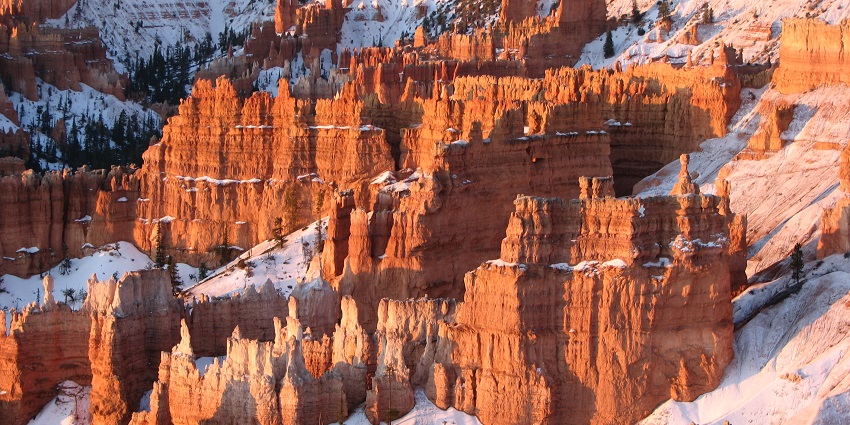 Explore Zion National Park: A Nature Lover’s Paradise - TripXL
