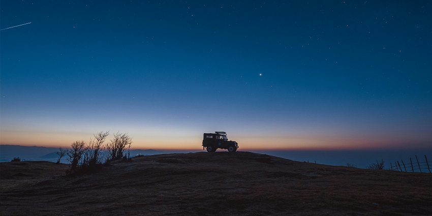 Night Safari In Australia: Ultimate Wildlife Adventure - TripXL