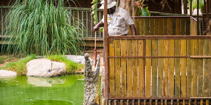 Cango Caves: A Guide To South Africa’s Iconic Limestone Caves - TripXL