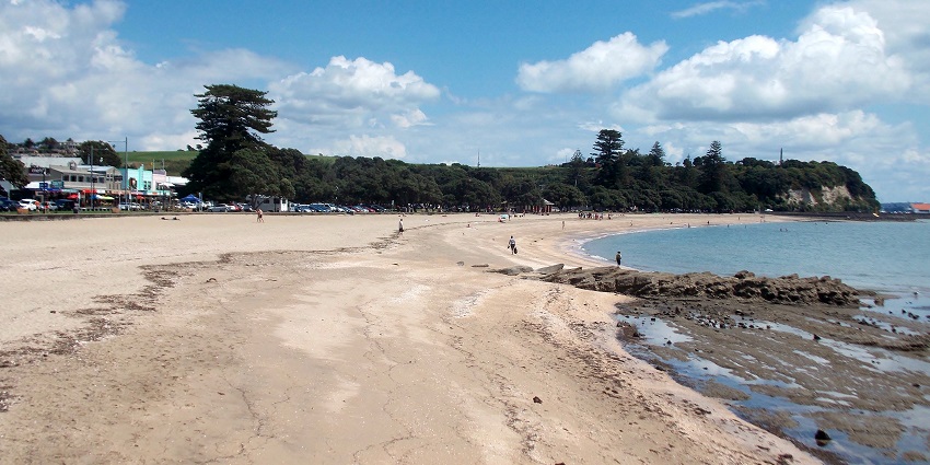 Top 10 Beaches Near Auckland For Serenity & Natural Beauty - TripXL