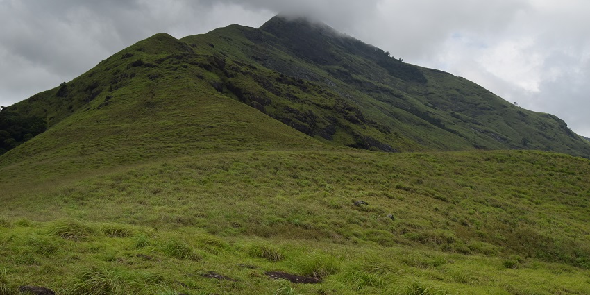 Trekking Places In Tamil Nadu: Your Ultimate Traveller’s Guide - TripXL