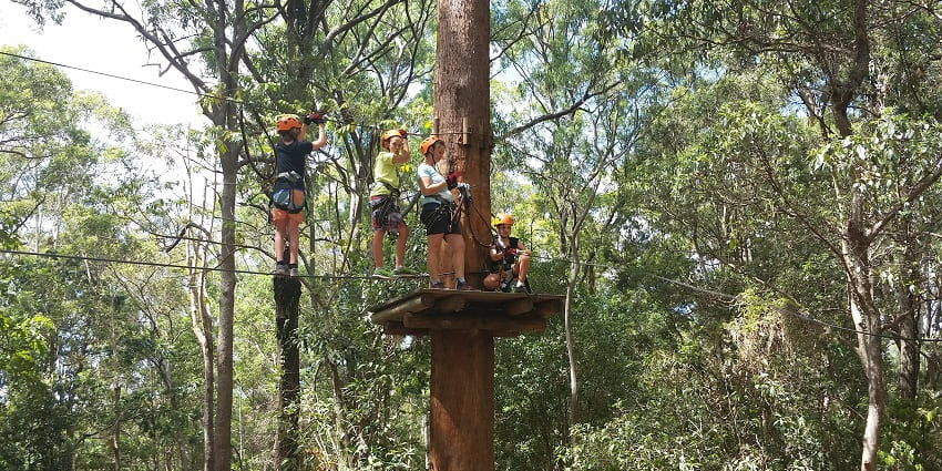Springbrook National Park: The Ultimate Traveller’s Guide - TripXL