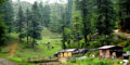 Devalsari Temple: Your Guide To Sacred Temples Of Uttrakhand - TripXL