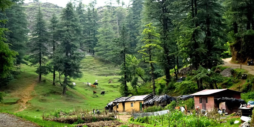 Devalsari Temple: Your Guide To Sacred Temples Of Uttrakhand - TripXL