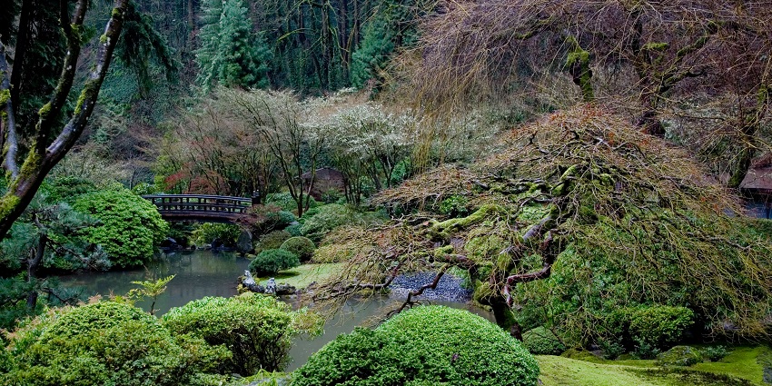 10 Things To Do In Portland Oregon In June: Summer Festivities - TripXL