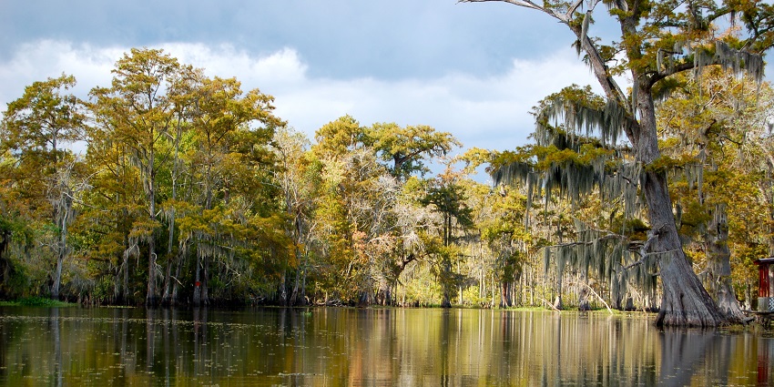 14 Things To Do In USA In March For Your Summer Getaway - TripXL