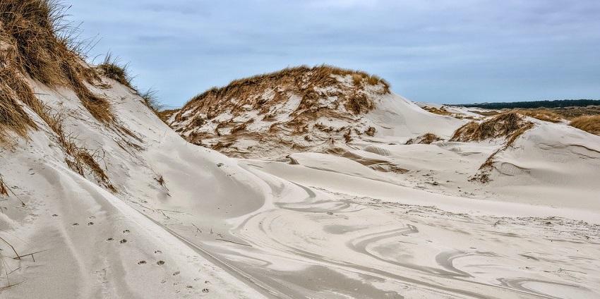 Wood Buffalo National Park: Alberta Wildlife To Explore - TripXL