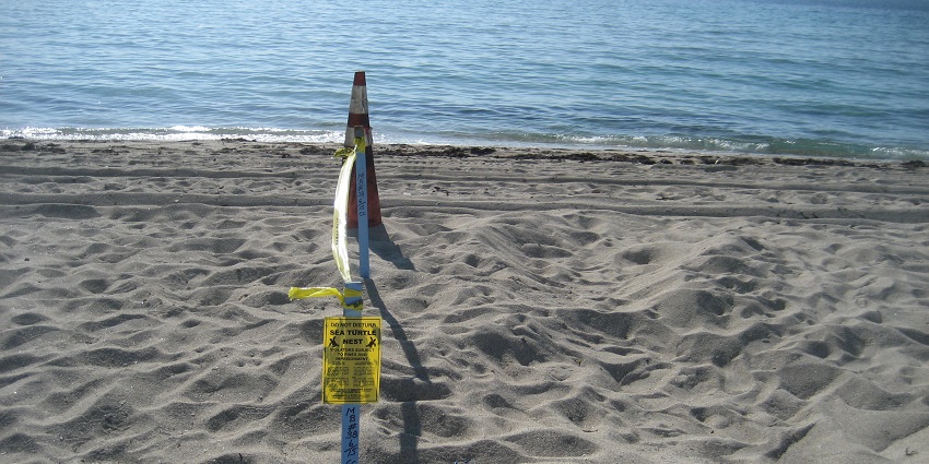 12 Nude Beaches In Florida Spots For A Barefoot Escape - TripXL