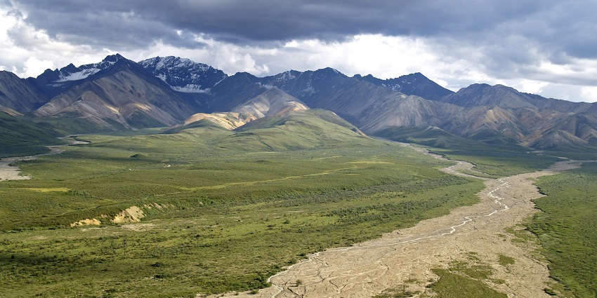 Denali National Park: Explore Exotic Fauna In Alaska - TripXL