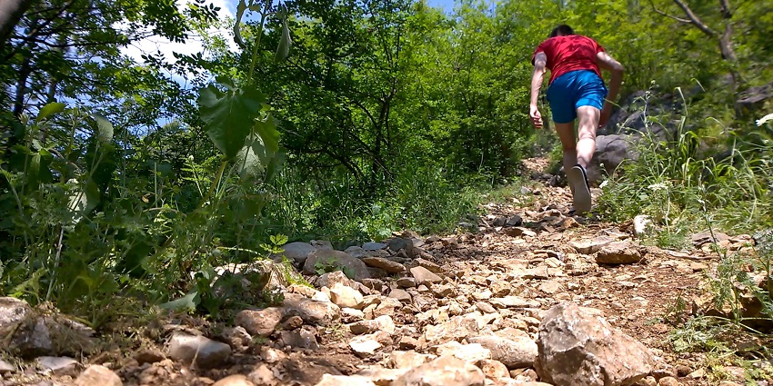 Kurangani Hills Trekking: A Scenic Retreat In Tamil Nadu - TripXL