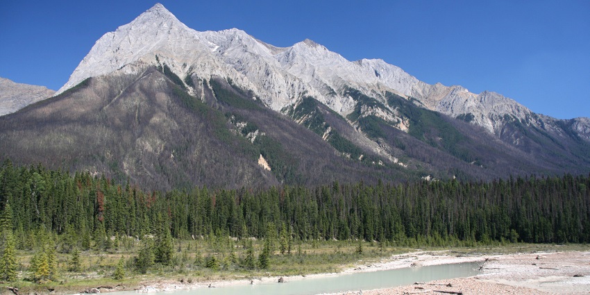 Yoho National Park In Canada: Ultimate Guide For Travellers - TripXL
