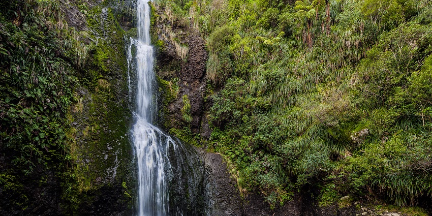 New Zealand Waterfalls: Guide to Nature's Majestic Cascades - TripXL