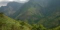 Kurangani Hills Trekking: A Scenic Retreat In Tamil Nadu - TripXL