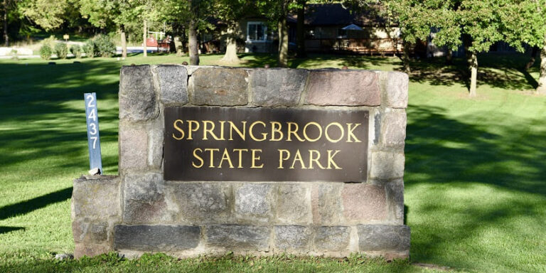 Springbrook National Park: The Ultimate Traveller’s Guide - TripXL