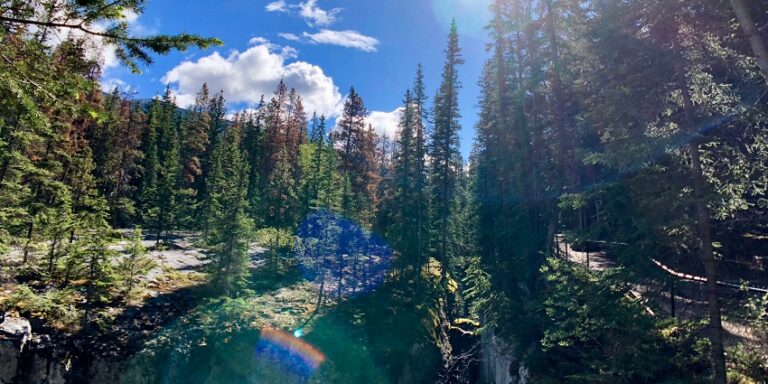 Jasper National Park: A Must-Visit Destination In Canada - TripXL