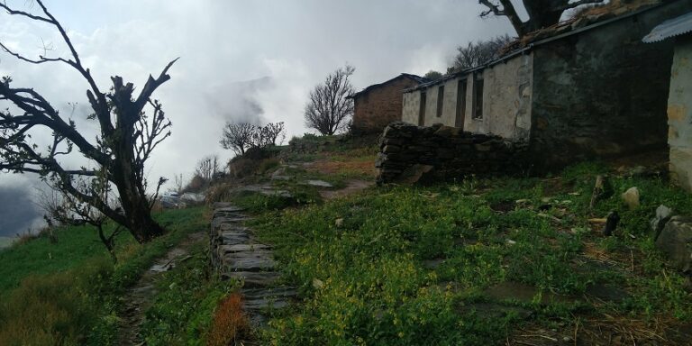 Devalsari Temple: Your Guide To Sacred Temples Of Uttrakhand - TripXL