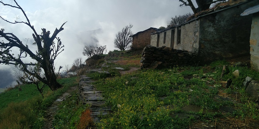 Devalsari Temple: Your Guide To Sacred Temples Of Uttrakhand - TripXL