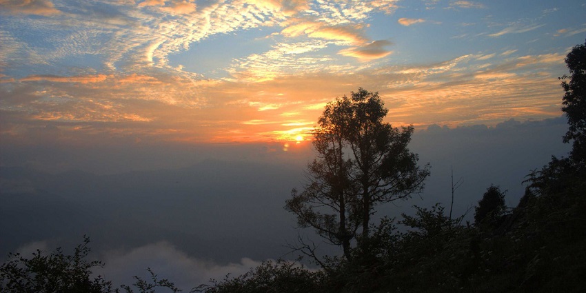 Neora Valley National Park: Amidst West Bengal’s Wilderness - TripXL