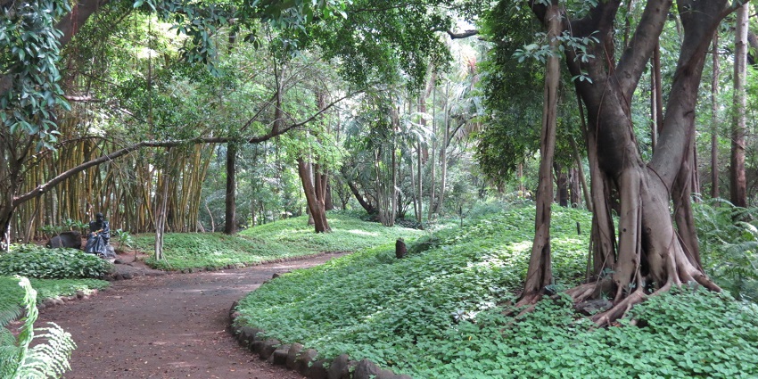 Penthouze Nightlife: Pune’s Premier Rooftop Bar Experience - TripXL