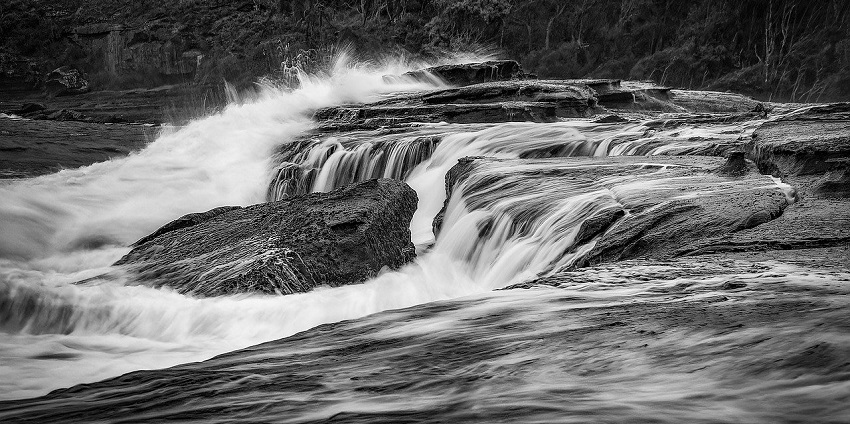 Wood Buffalo National Park: Alberta Wildlife To Explore - TripXL