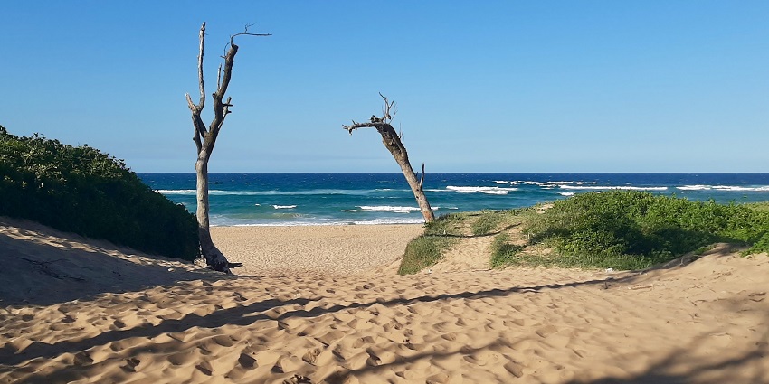 10 Beautiful Beaches In South Africa Every Tourist Must Visit - TripXL