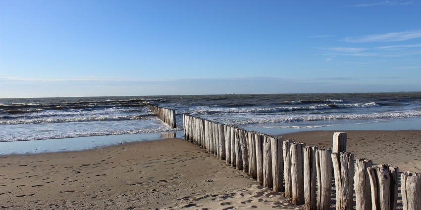 Beaches In Amsterdam: Explore The Stunning Beaches Of Netherlands - TripXL