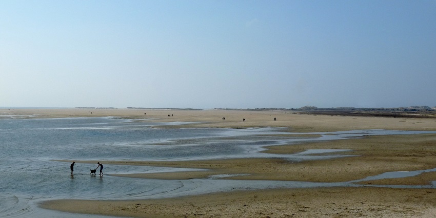 Beaches In Amsterdam: Explore The Stunning Beaches Of Netherlands - TripXL
