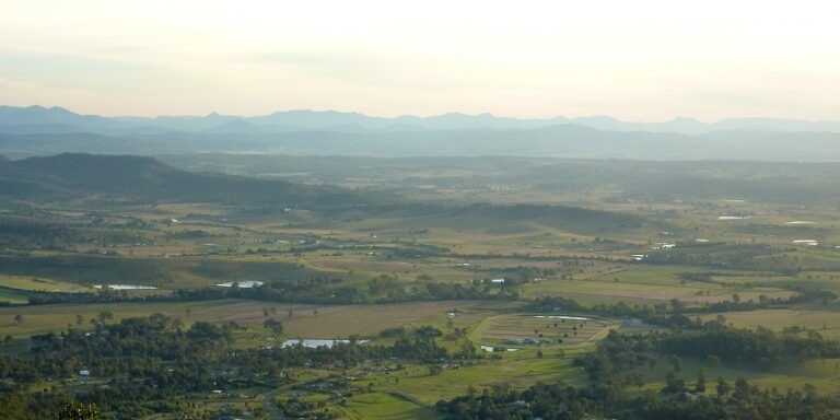Springbrook National Park: The Ultimate Traveller’s Guide - TripXL