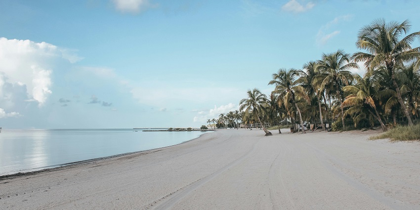 Explore The Best Things To Do In Key West In January - TripXL