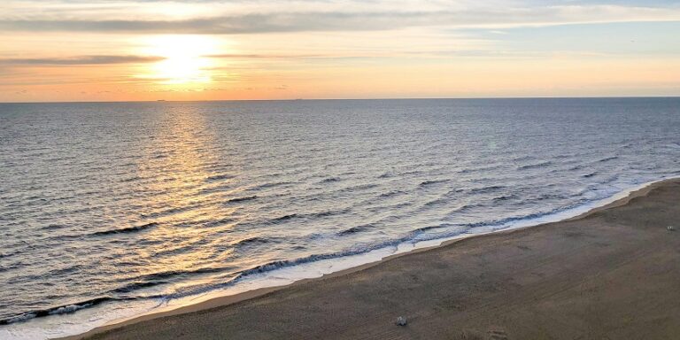 Places To Visit In Virginia In April For Springtime Delight - TripXL