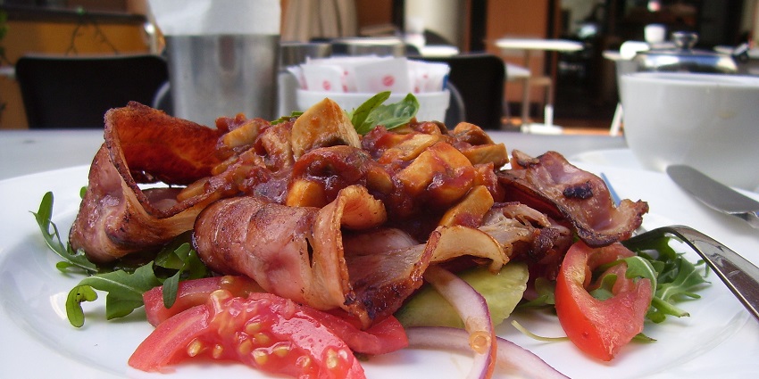 Springbrook National Park: The Ultimate Traveller’s Guide - TripXL