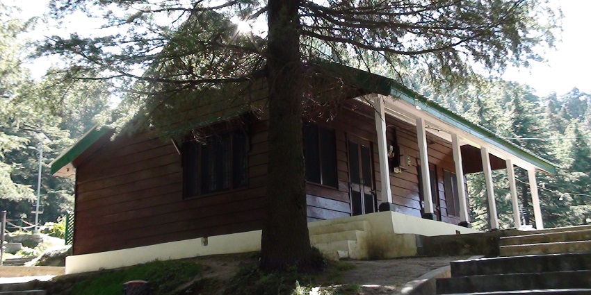 Springbrook National Park: The Ultimate Traveller’s Guide - TripXL