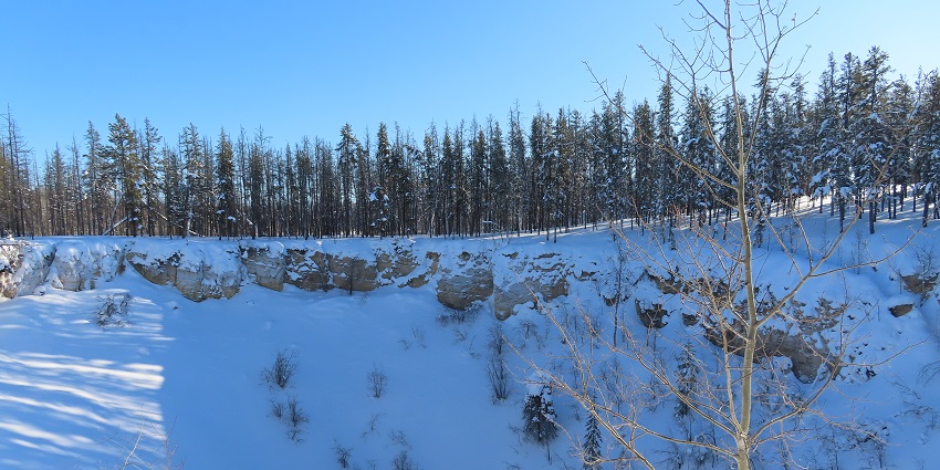 Wood Buffalo National Park: Alberta Wildlife To Explore - TripXL