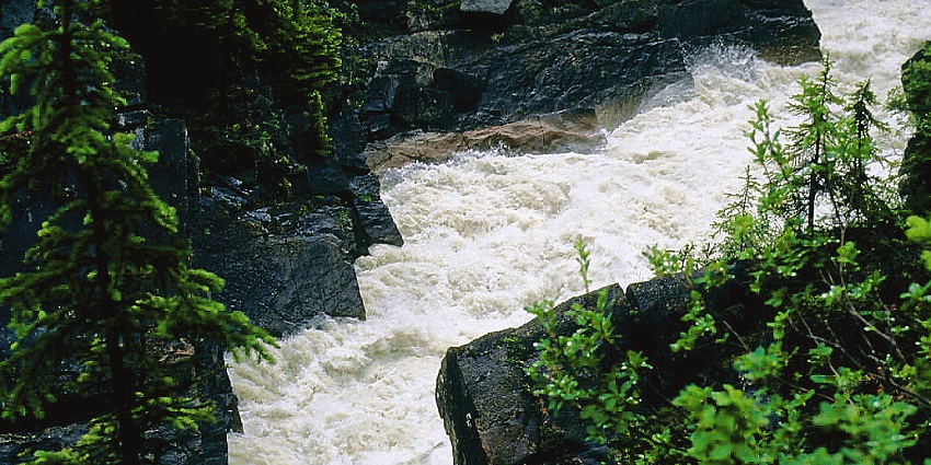 Yoho National Park In Canada: Ultimate Guide For Travellers - TripXL