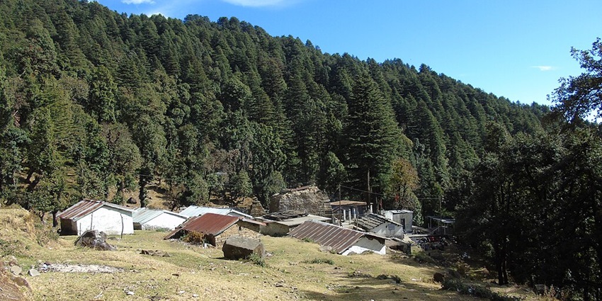 Places To Visit In Binsar: The Ultimate Guide For Travellers - TripXL