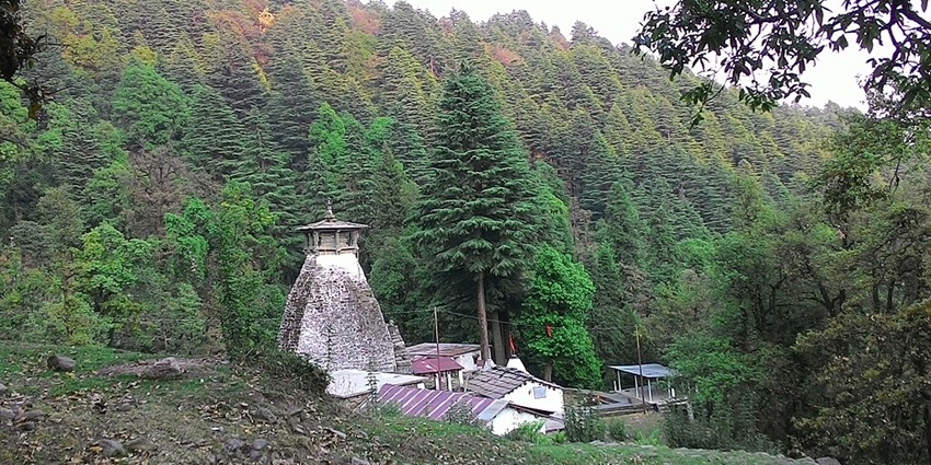 Places To Visit In Binsar: The Ultimate Guide For Travellers - TripXL