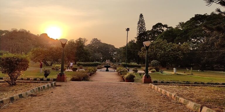 Places To Visit In Noida With Family: Ultimate Travel Guide - TripXL