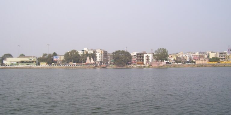 Jungle Safari Raipur: Explore Wildlife Adventures In Chhattisgarh - TripXL