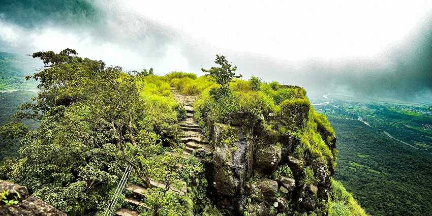 Chikmagalur Travel Guide: Unveil Pristine Beauty - TripXL