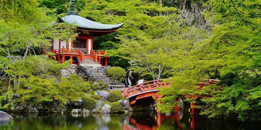 Places To Visit In Kyoto: The Ultimate Guide For Travellers - TripXL