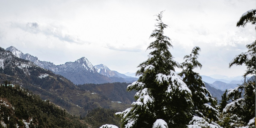 10 Places To Visit In Landour And Around For An Amazing Trip - TripXL