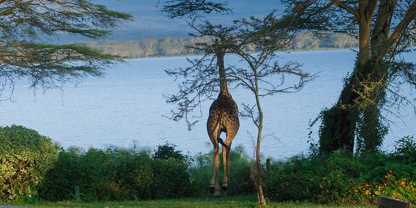 Hells Gate National Park: A Must-Visit Destination In Kenya - TripXL